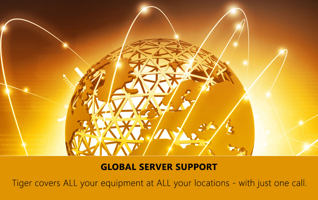 Server Support for Business Hardware - Tiger Technology Solutions, Inc.